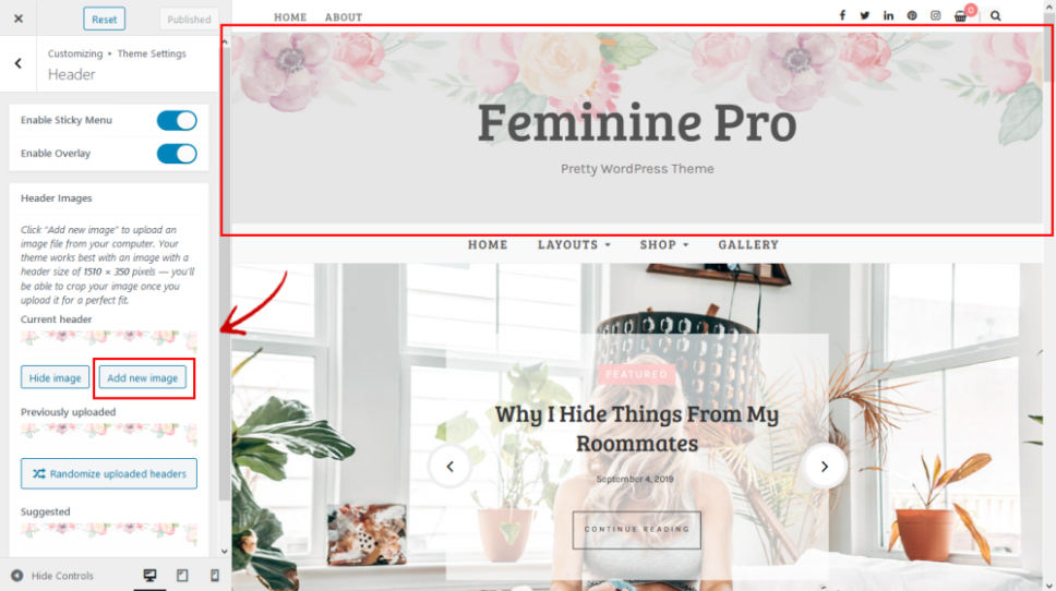Feminine Pro Documentation | VolThemes